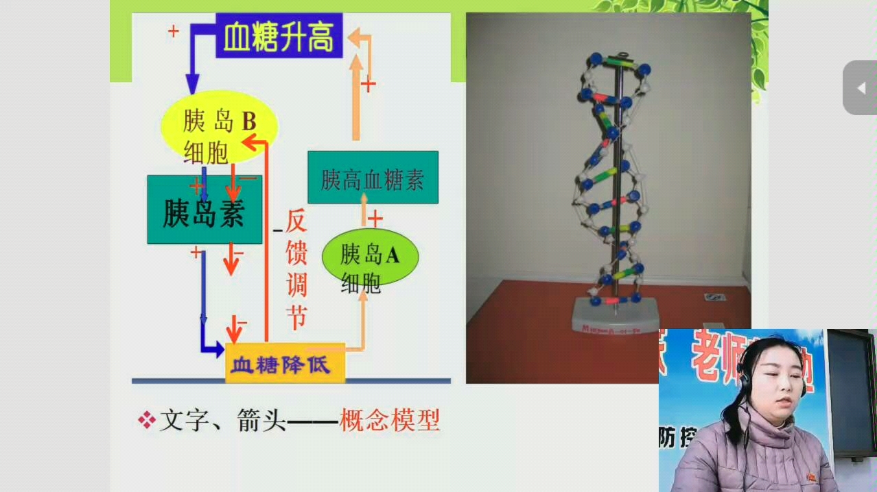 淮南市高三直播课堂生物种群数量的变化