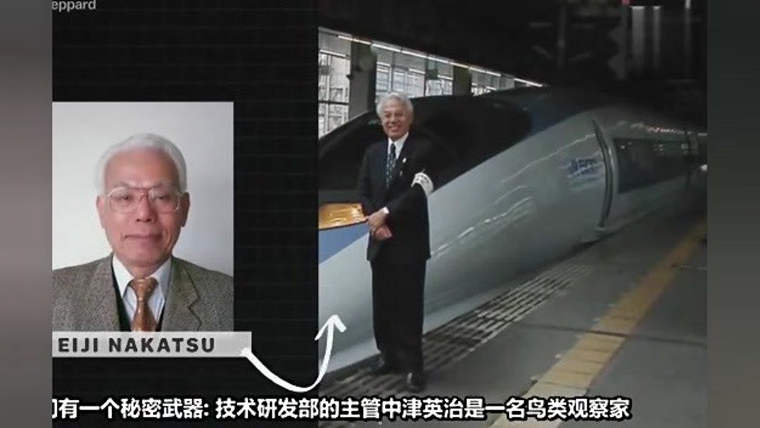 仿生学改造世界