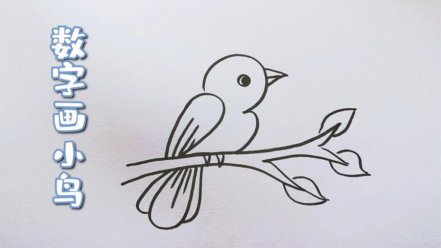 用数字画小鸟!这方法学画画也是绝了~