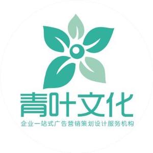 青叶文化科技的老叶 