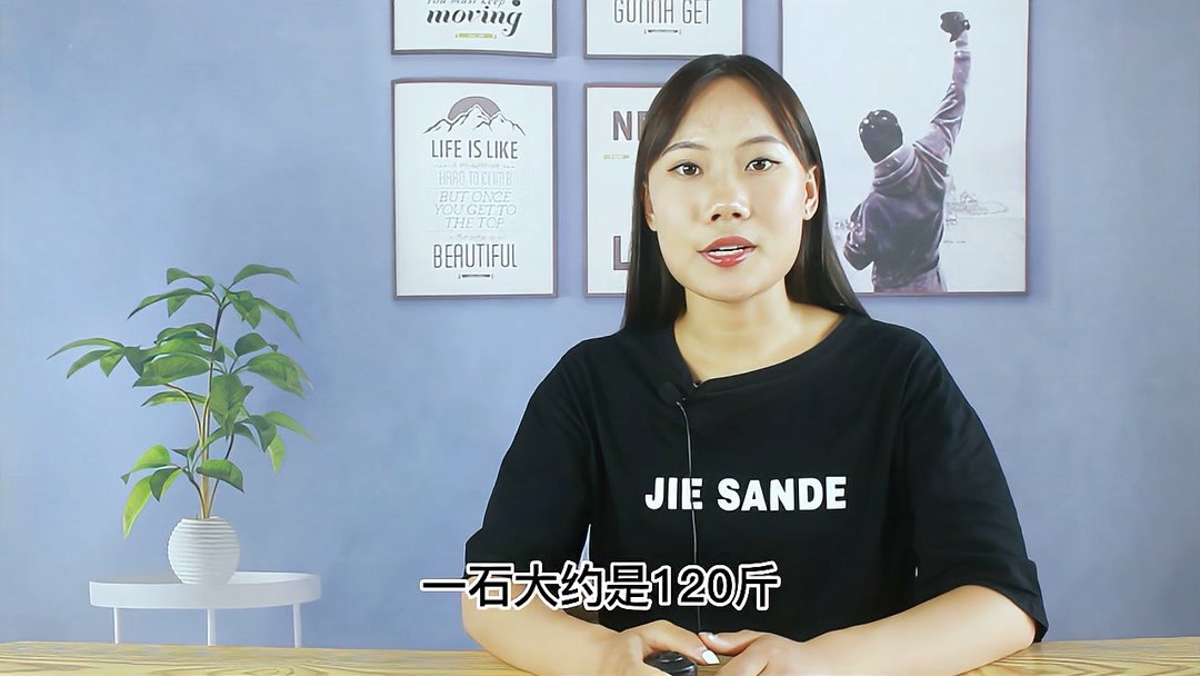 一石等于多少斤呢