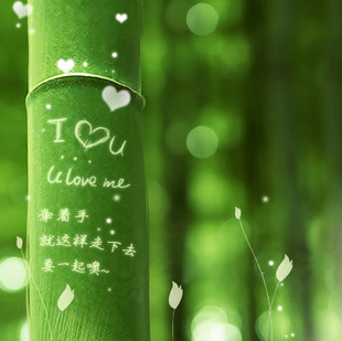 清虚7探戈蝙蝠 