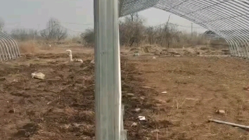 半坡暖棚绿城温室大棚