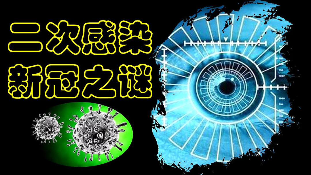 二次感染新冠之谜:为什么是“二次感染”,而不是“复阳”?