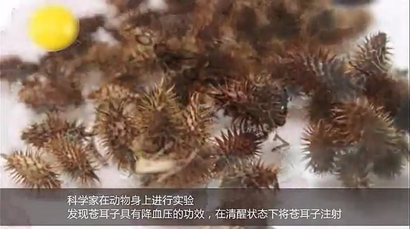 木耳具有抗癌,清肠胃的功能,但这样吃的话容易造成中毒