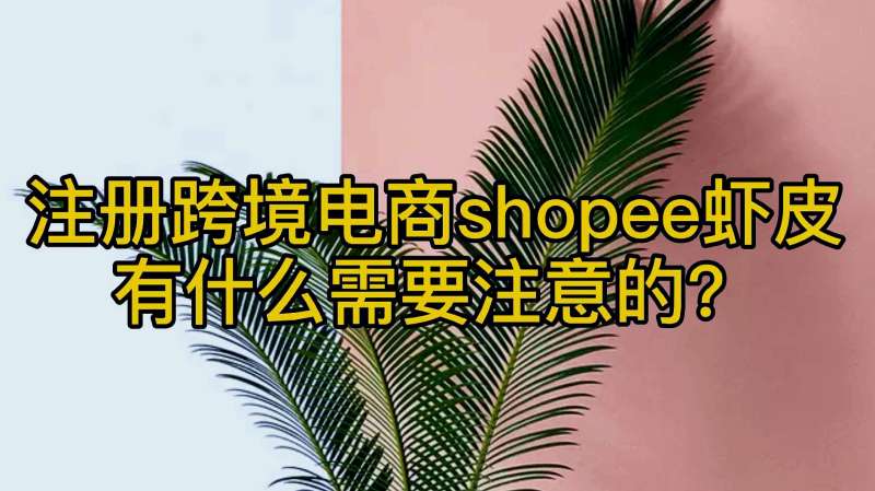 想注册跨境电商,shopee虾皮店铺,有什么需要注意的?