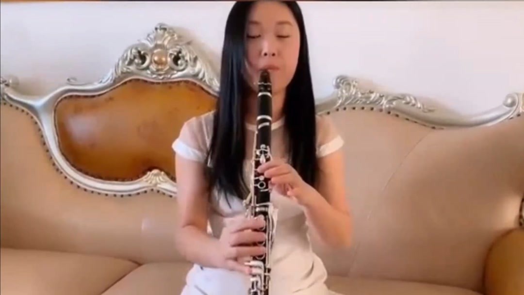 单簧管是什么样子_单簧管的自学