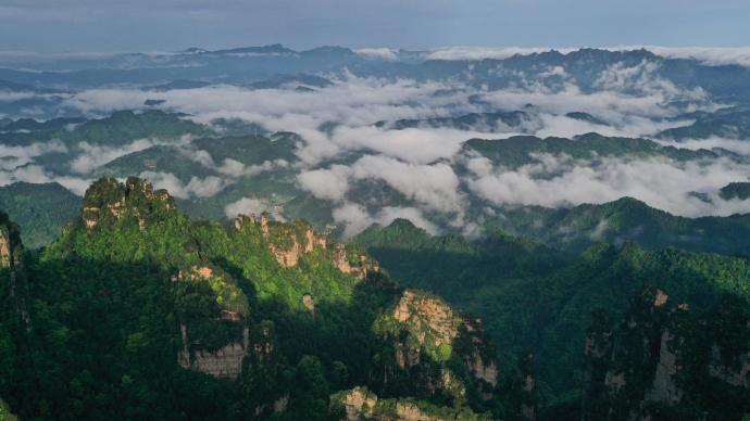 张家界部分景区解封首日:杨家界景区1小时仅看到7位游客