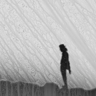 沧海鲲鹏北溟鱼 