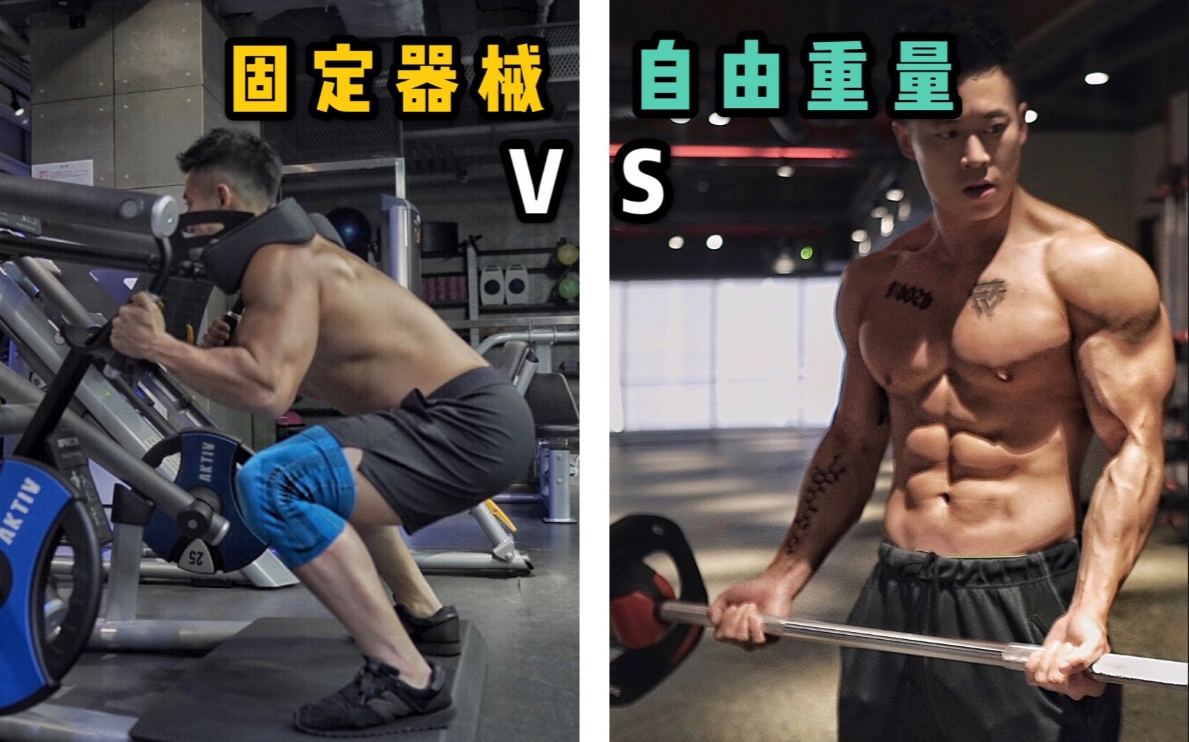 哪个更适合你?「自由重量」or「固定器械」?