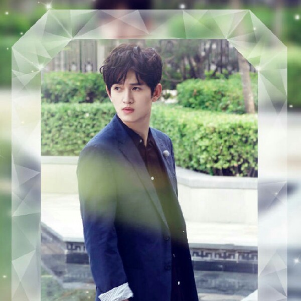 俯瞰苍翠的森林 