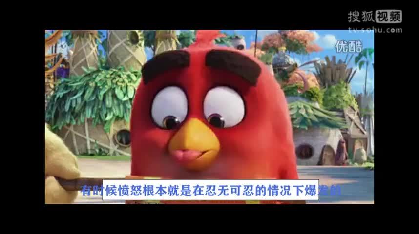 几分钟看动画片愤怒的小鸟