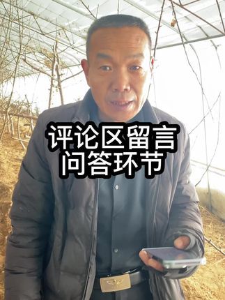 果树种植问题解答果树管理果树种植果园管理新农人计划2023助农