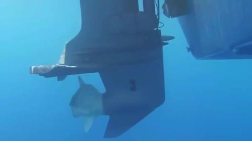 船的螺旋桨在水里转动是什么样的?装个摄像头,直观感受运行状态