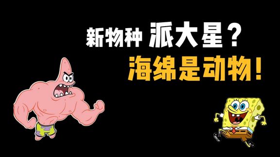 派大星新物种?海绵竟也是生物 盘点海绵宝宝里的角色原型