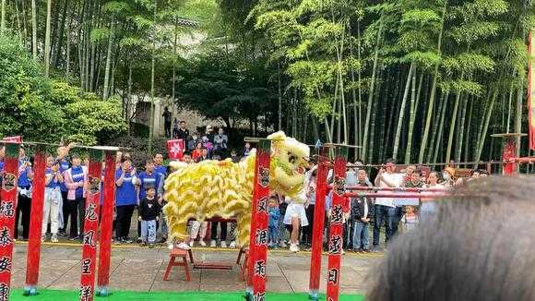 有幸现场感受了一下中国传统文化舞狮,现场真热闹!