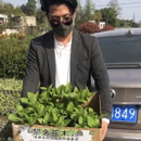 慈阳玄师 