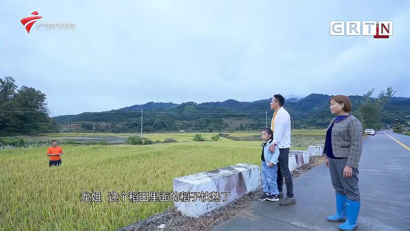 搭建数字化平台,助力农业现代化转型,一起来了解下