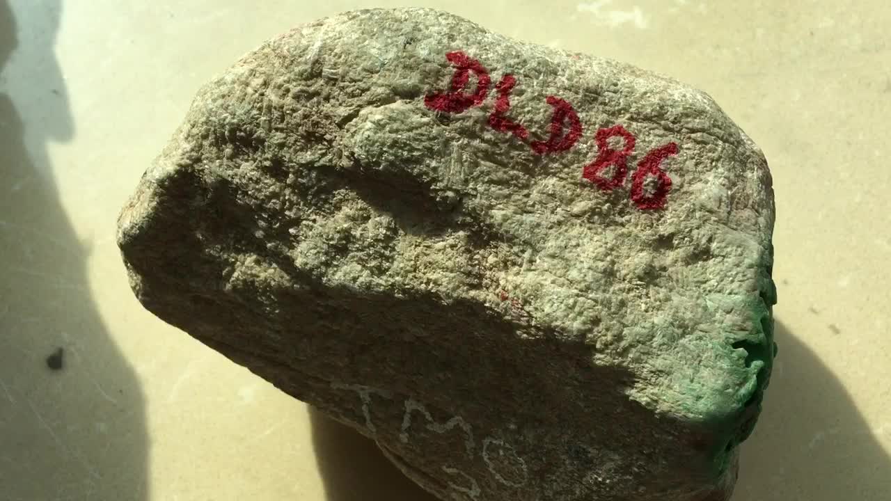 赌石视频,老坑木那开出满绿精品翡翠原石