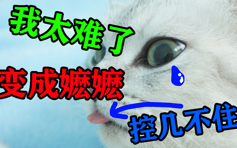 终于!终于到了让ana绝育的一天!