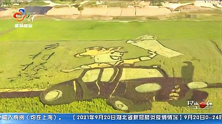 壮观!五彩稻田画绘出特色农业发展新景象