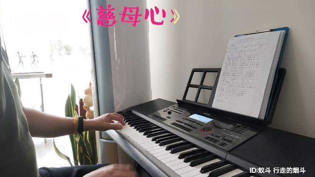 卡西欧电子琴演奏闽南歌曲《慈母心》