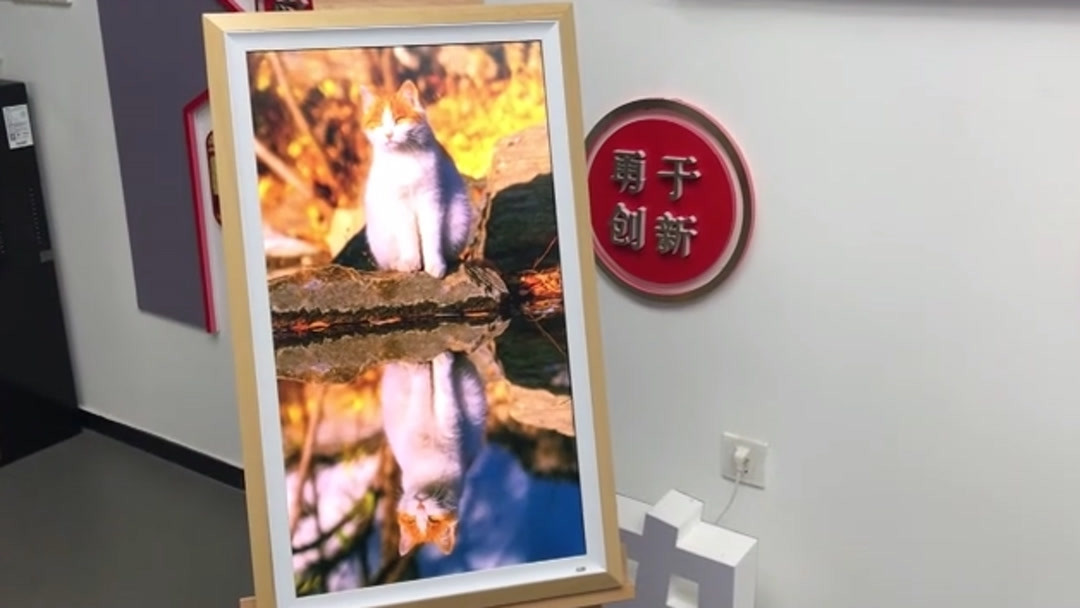 这么可爱的猫咪在BOE画屏上更加灵动了投屏 上传照片方便智能画框