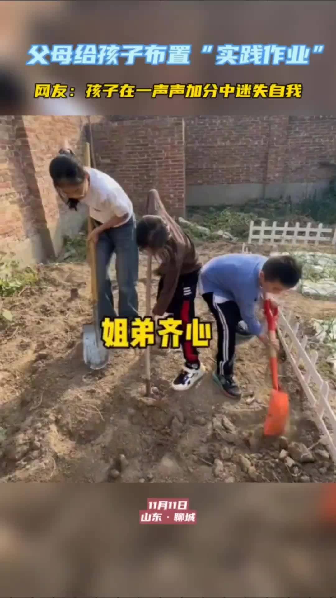 父母给孩子布置"实践作业" 网友:孩子在一声声加分中迷失自我
