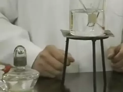 1.07 比较过氧化氢在不同条件下的分解