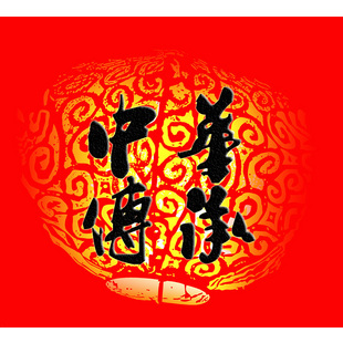 中华之光-传承的力量 