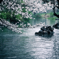 莹莹讲军事 