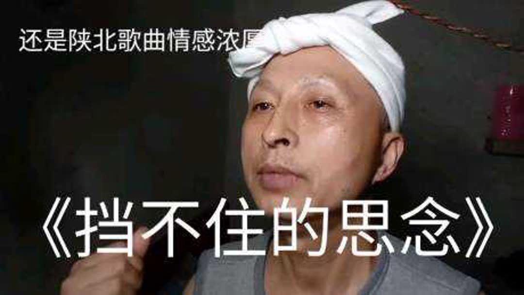 还是陕北新民谣最感人《挡不住的思念》