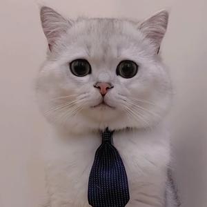小劳力仕 