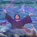 莲花音乐 