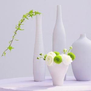 努力工作的生物老师 