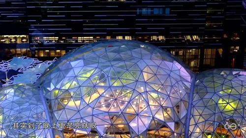 亚马逊将新总部建成热带雨林,种了4万株植物,在这里办公太惬意
