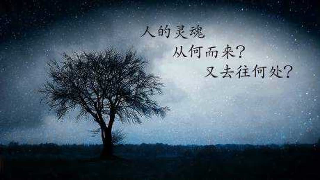 真实的世界1-形态发生场,灵魂与梦的本质