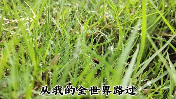 感谢从我的全世界路过