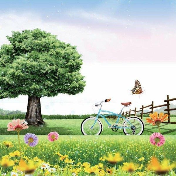 菲菲的玩具世界 