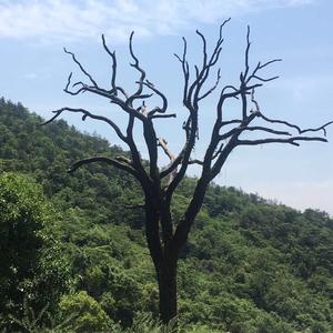 天冷好个秋 