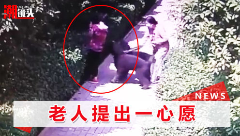 "狗咬老人事件"当事人欲和解?当地纪委发声,光明日报锐评