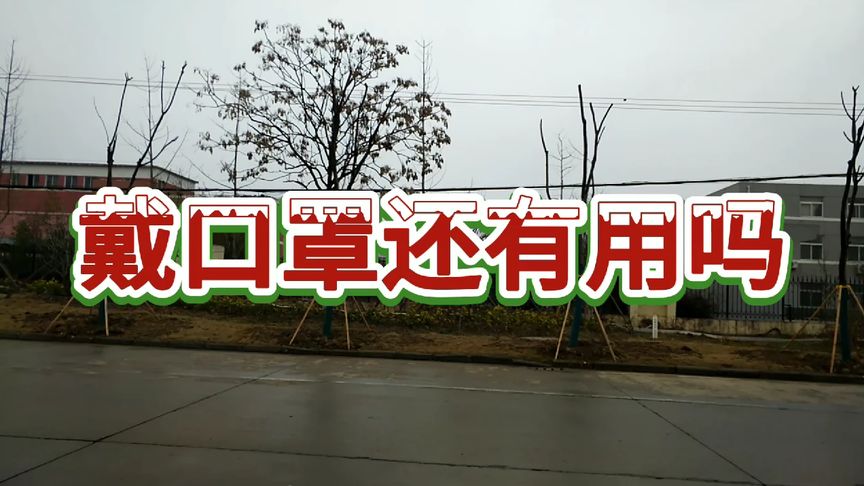 新冠病毒变异并演化出L亚型S亚型!戴口罩还有用吗?专家给出回应