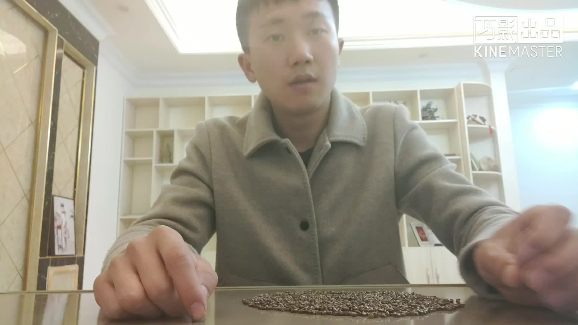 中药大字典-决明子!明目护肝的小能手