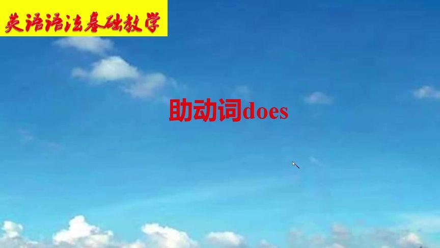 23.中老年零基础学英语!英语语法基础教学,助动词does