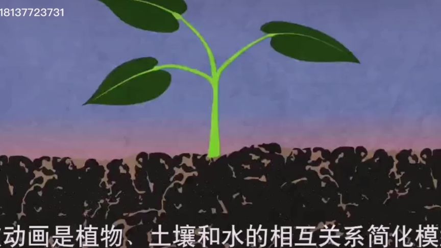 蔬菜种植无土栽培培训之农技课堂