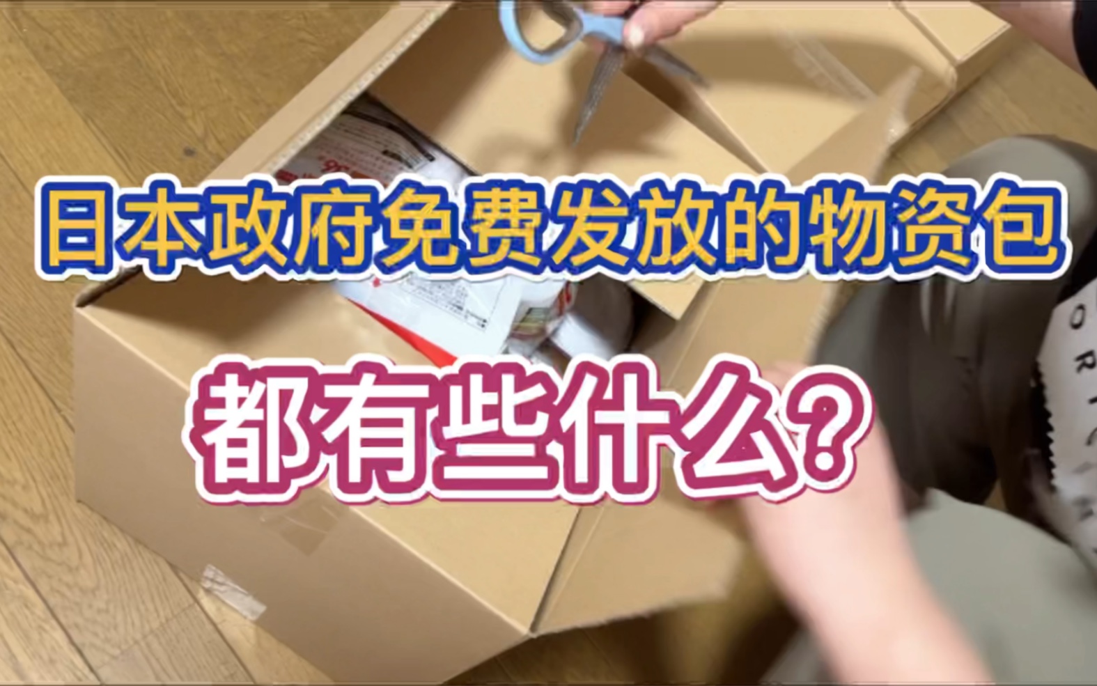 【开箱】日本政府免费发放的隔离物资包里都有些什么?|地区不同物品...
