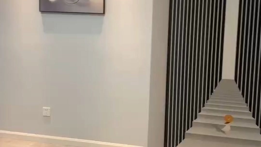 2022年最新装修实景案例