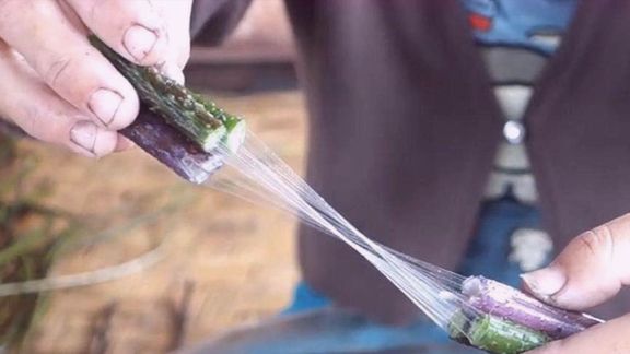 我们吃的藕还有这作用?“藕丝”被缅甸女孩织围巾,一条卖到千元