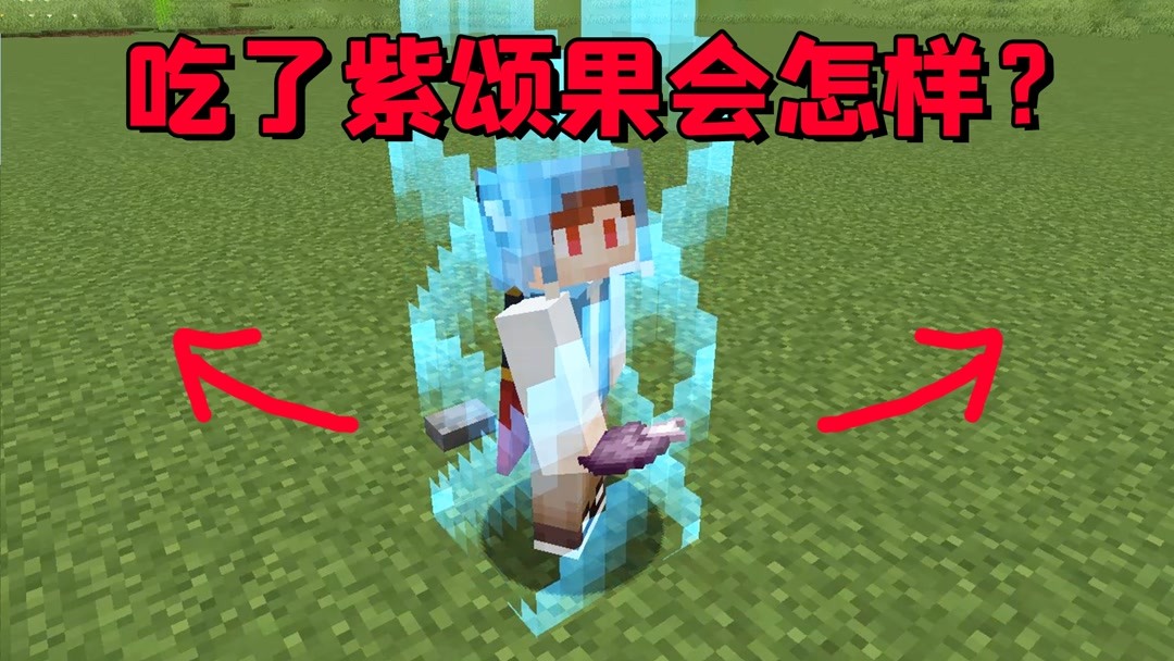 我的世界:在1格边界内,如果吃紫颂果会传送出去吗?