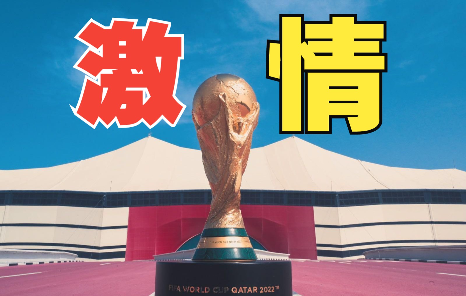 卡塔尔世界杯:他们的激情与欢乐
